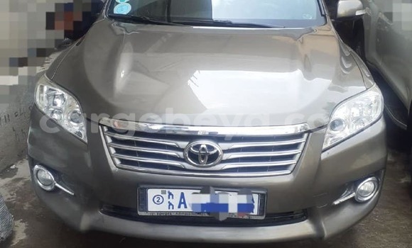 Buy used toyota rav4 brown car in addis–ababa in ethiopia - cargebeya